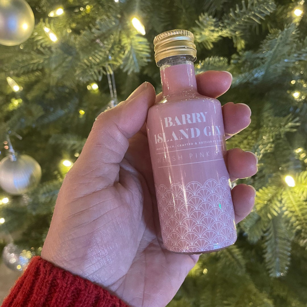 Barry Island Pink Gin Miniature (5cl) | Craft Republic, Independent Bar ...